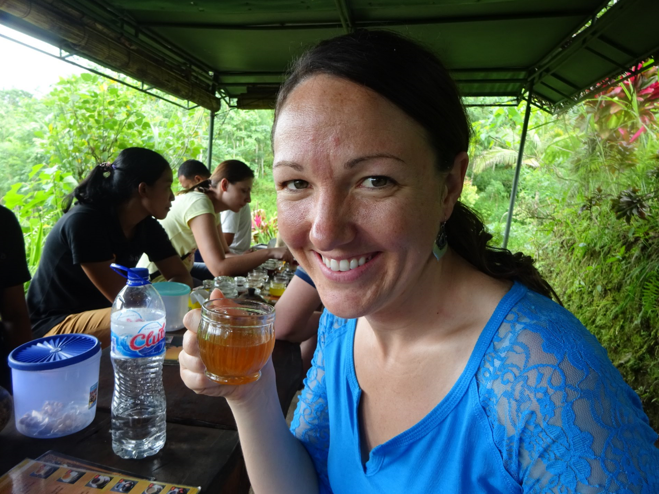 Satria coffee and tea plantation: Bali, Indonesia | Logsdon's big ...